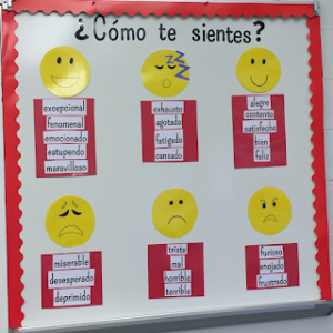 How Spanish Classroom Word Walls Increase Language Proficiency ...