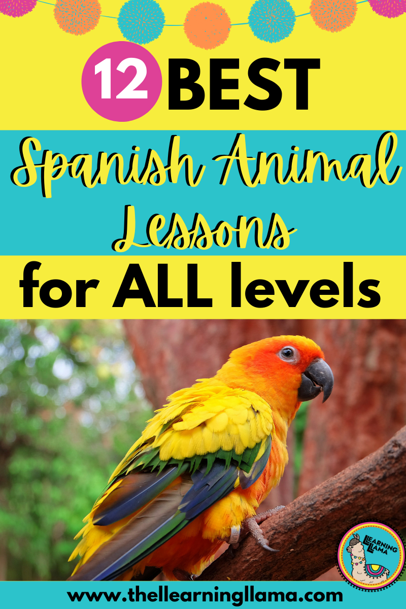 The 12 Best Animals Spanish Lessons for All Levels of Learners ...